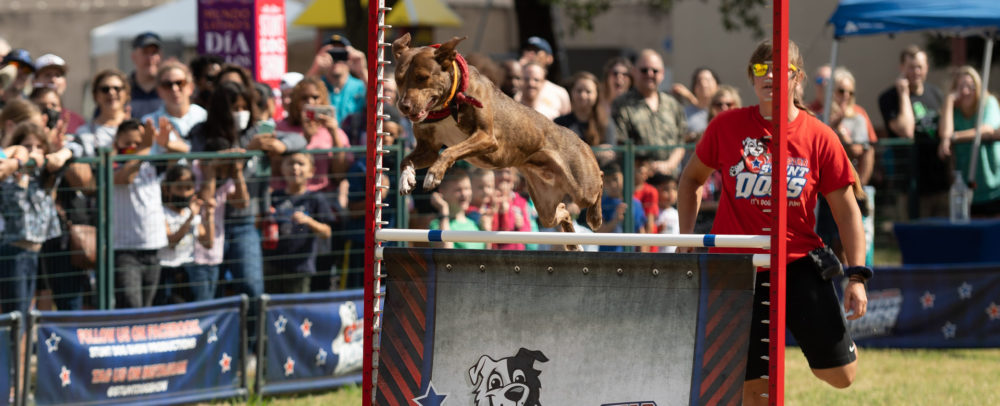 Family Fun & Shows | State Fair of Texas