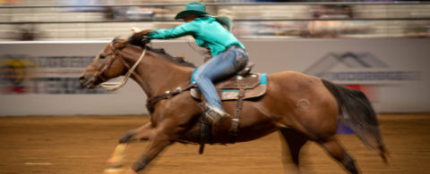 Family Fun & Shows | State Fair of Texas