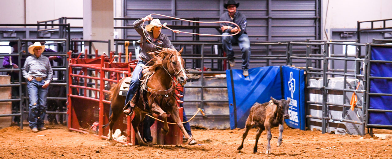 Rodeo | State Fair of Texas