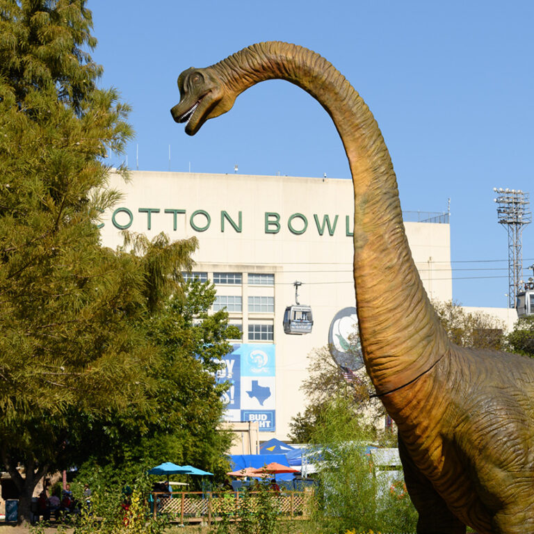 Family Fun & Shows | State Fair of Texas