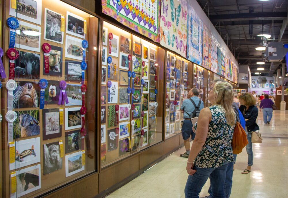 2024 State Fair of Texas Arts & Crafts and Cooking Contest Guides Now ...