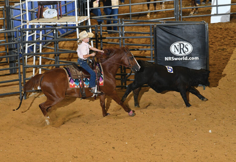 Horse Show Exhibitors | State Fair of Texas