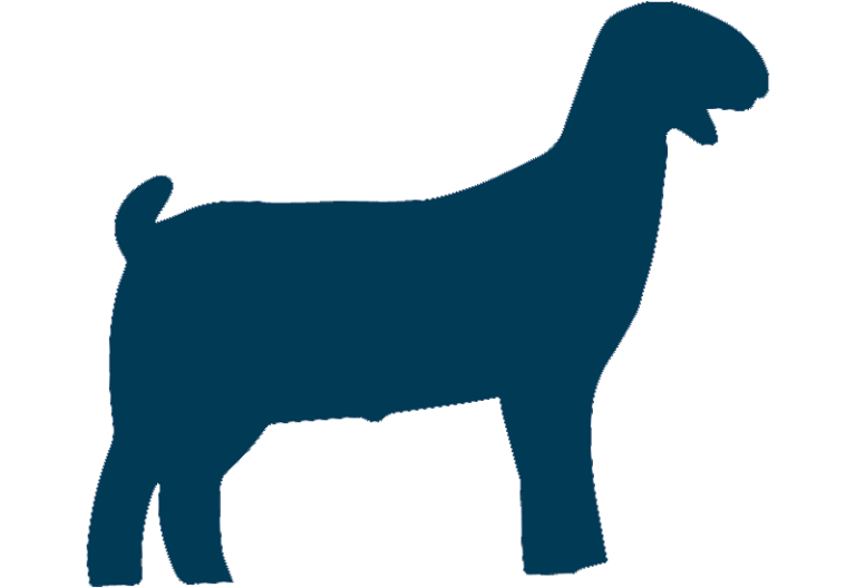 Livestock Exhibitor & Resources | State Fair of Texas