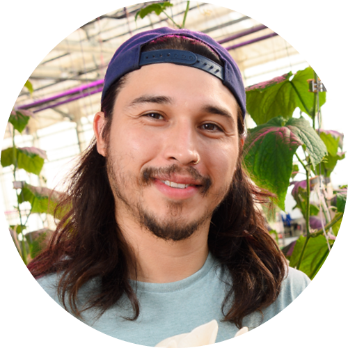 Big Tex Urban Farms | State Fair of Texas